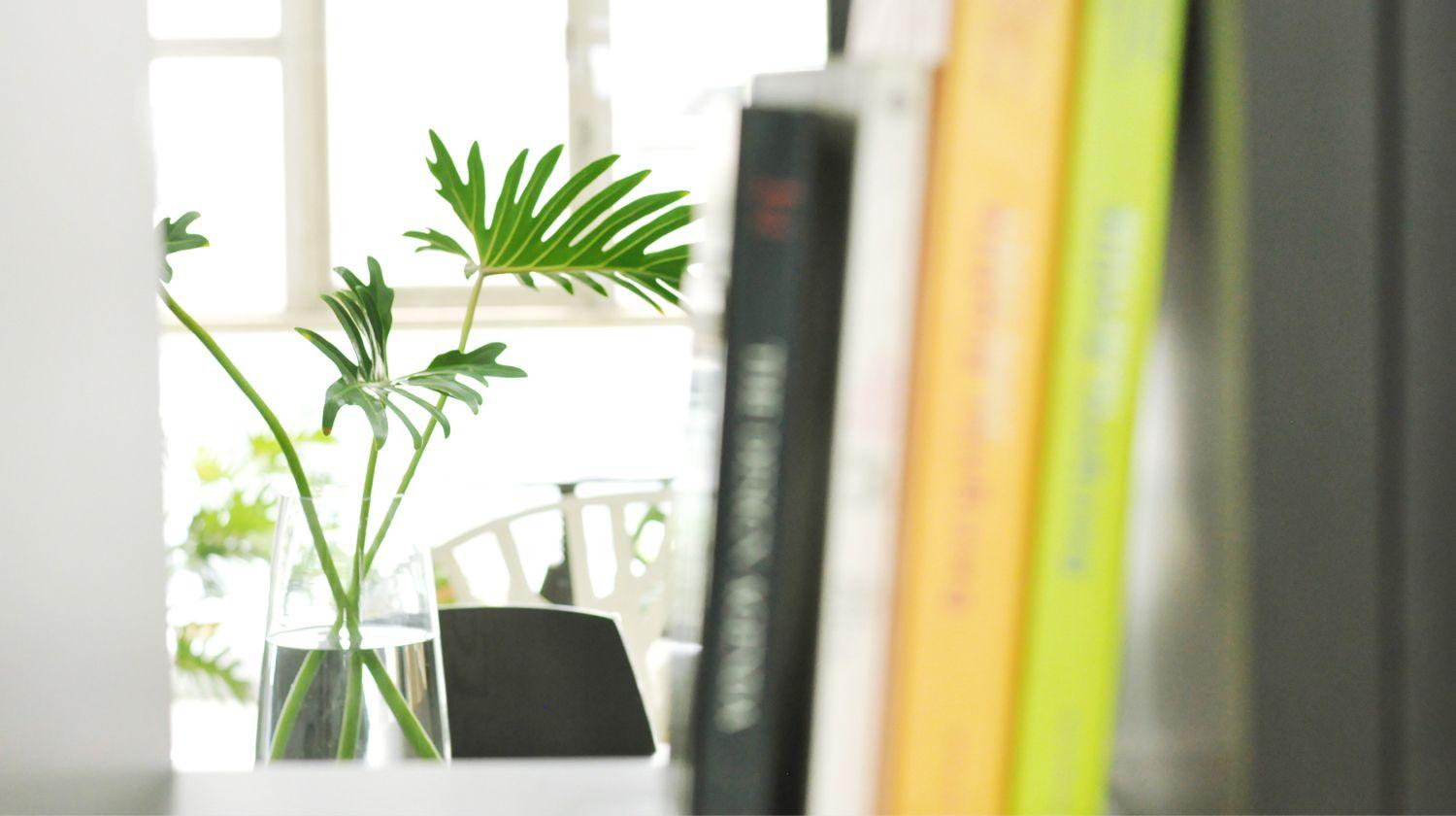 CADIIS, The Leading Web Design Company in Taiwan - CADIIS Web Design